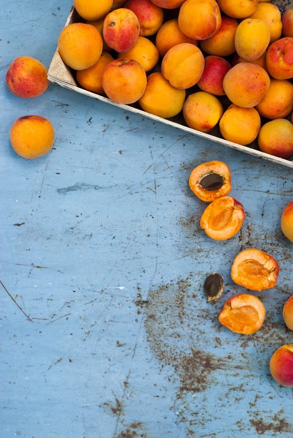 Apricots Vintage Sheet Stock Photos - Free & Royalty-Free Stock Photos ...