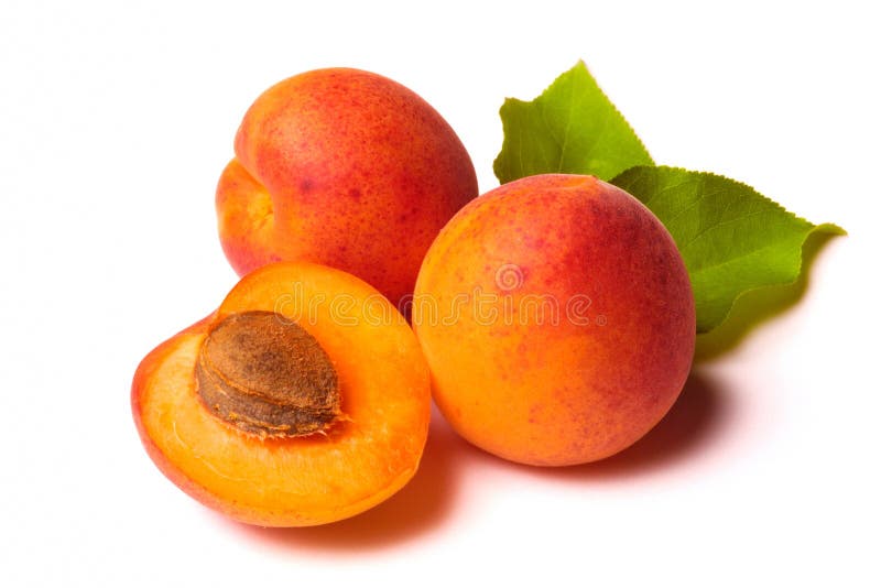 Apricots on white stock image. Image of garden, edible - 20473875