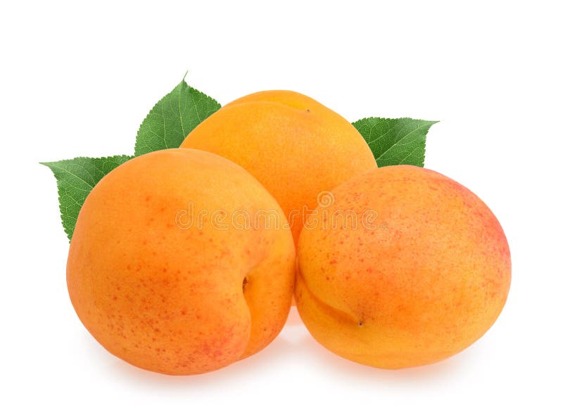 Apricots on white stock image. Image of healthy, peach - 87453297