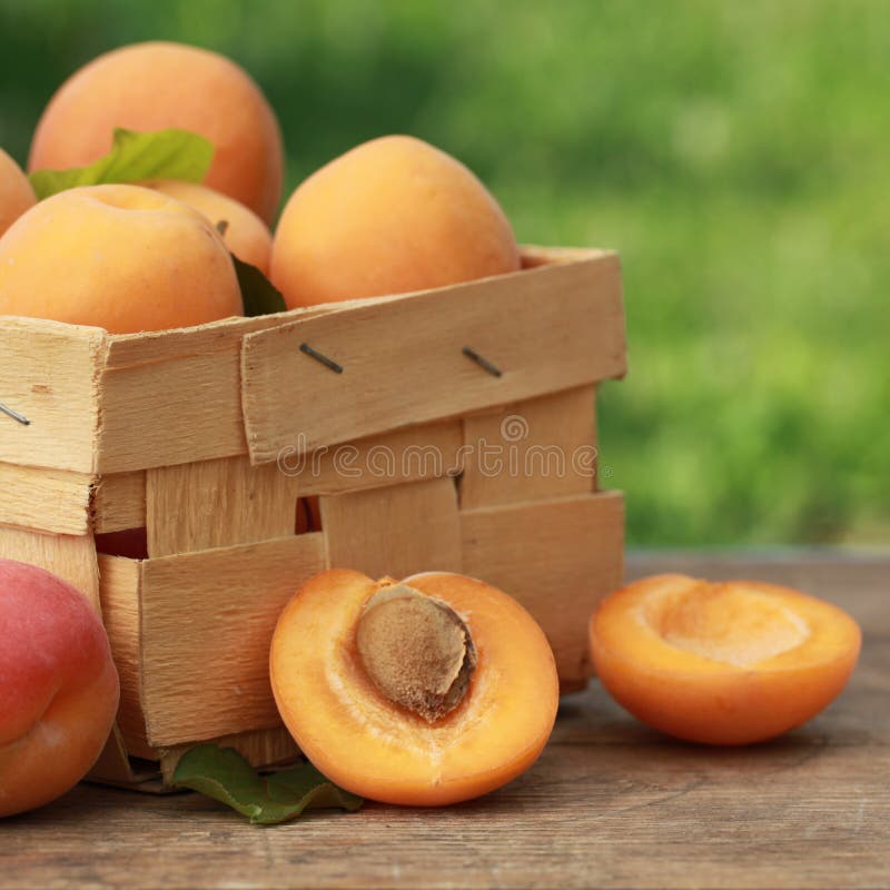 Apricots in a wooden box stock image. Image of food, eating - 26993723