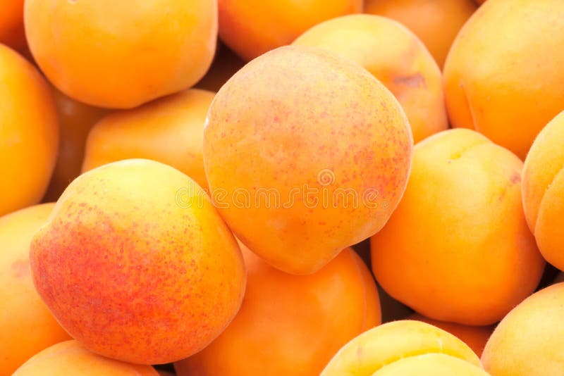 Aprikos fotografering för bildbyråer. Bild av nytt, stängning - 25085589