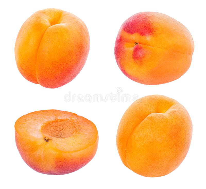 Aprikos isolerad white fotografering för bildbyråer. Bild av bakgrund ...