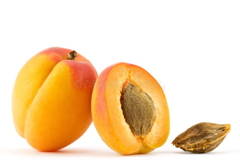 Aprikose lokalisiert stockbild. Bild von gesund, frische - 14934737