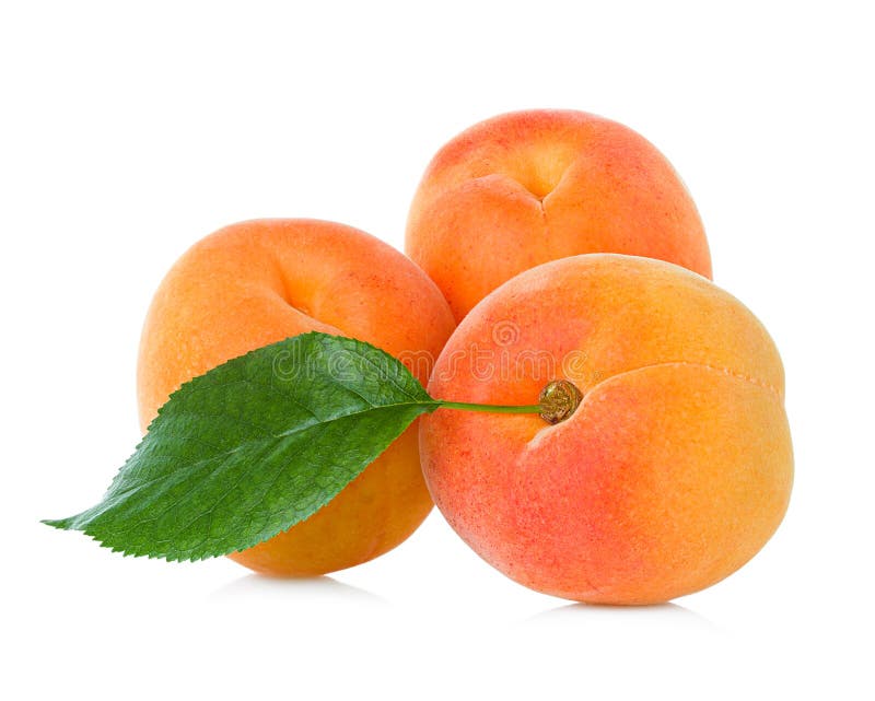 Aprikosen stockfoto. Bild von orange, frucht, farbe, nahrung - 94325924