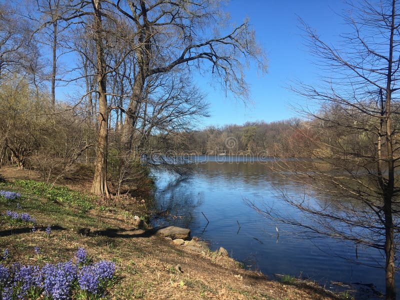 April at Central Park in New York, NY. Stock Photo - Image of spring ...