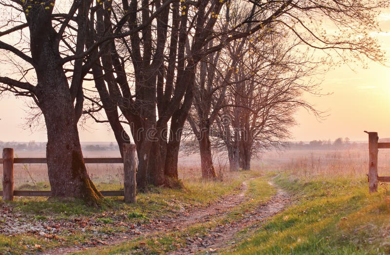 April evening in the park stock image. Image of grass - 51146991