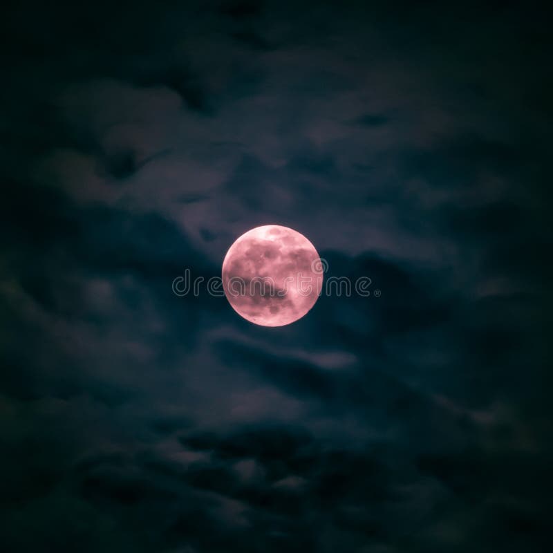 April S Pink Supermoon Will Be The Biggest This Year Stock Image