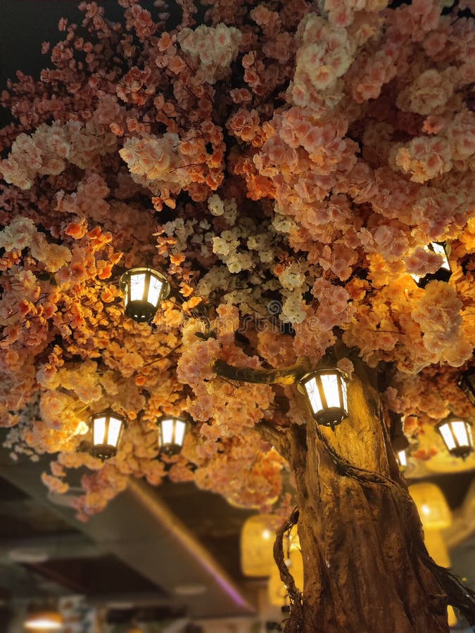 April Showers Bring May Flowers Stock Image - Image of branch, night ...