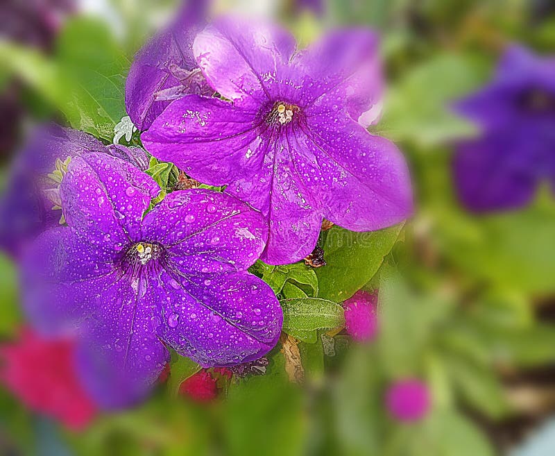 April Showers, April Fools, Part 1 Stock Image - Image of enjoying ...