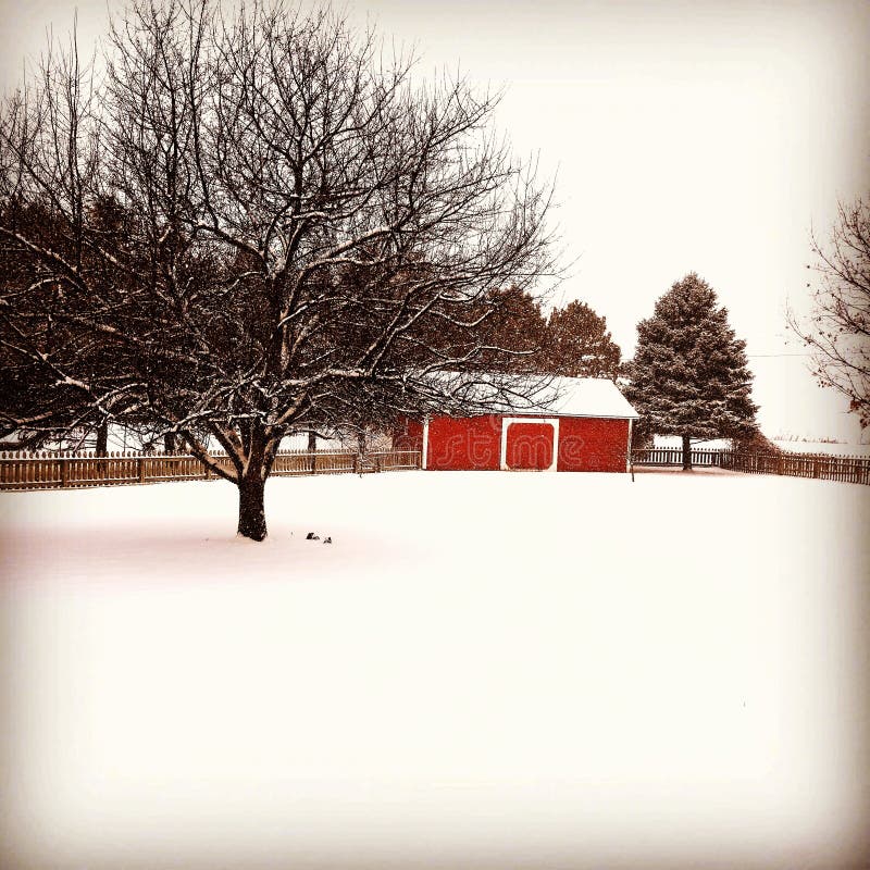 April snow stock image. Image of covered, april, ground - 113959819