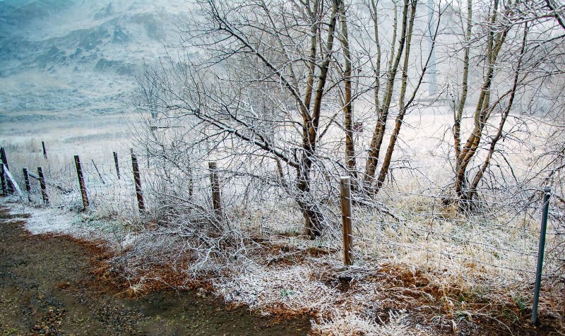 April Spring Storms are Quite Often in Southern Alberta Stock Photo ...