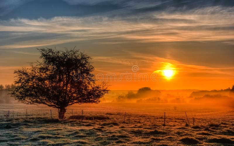 April Sunrise foto de archivo. Imagen de travieso, atractivo - 76858706