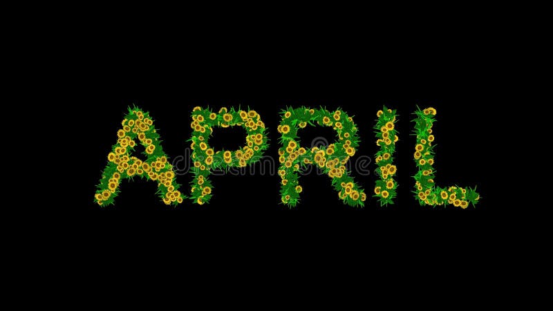 April Text with Green Leaves and Yellow Daisy Flowers on Plain Black ...