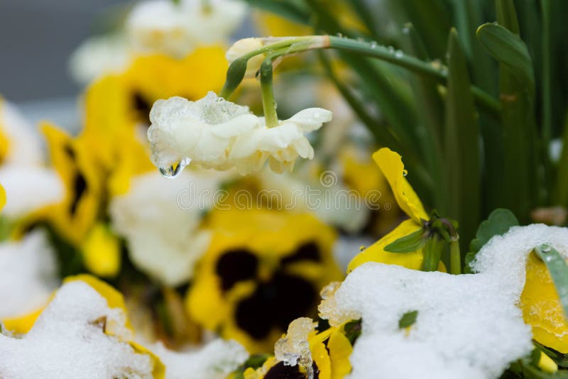 April weather stock photo. Image of colorful, march, green - 71026432