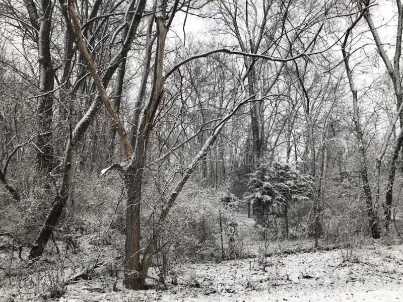 April in Wisconsin stock photo. Image of winter, lanscape - 117664746