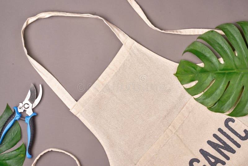 Apron with Leaves and Scissors on Table. Top View. Stock Photo - Image ...