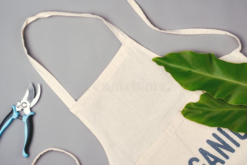 Apron with Leaves and Scissors on Table. Top View. Stock Photo - Image ...