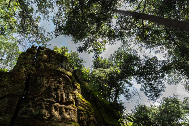 Sculpted stone in jungle stock photo. Image of ankor - 161354838