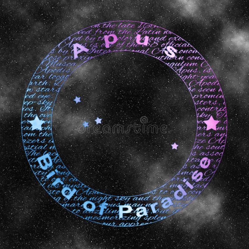 Apus Constellation, Bird of Paradise Constellation Stock Illustration ...