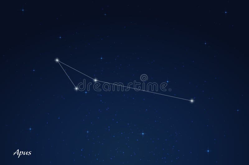 Apus Constellation with Star Names in Night Sky Stock Vector ...