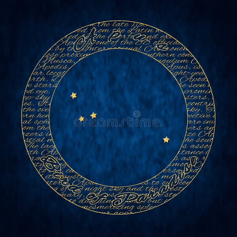 Apus Star Constellation, Bird of Paradise Constellation Stock ...