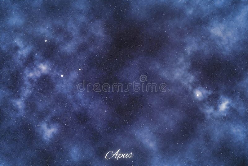 Apus Star Constellation, Brightest Stars, Bird of Paradise ...