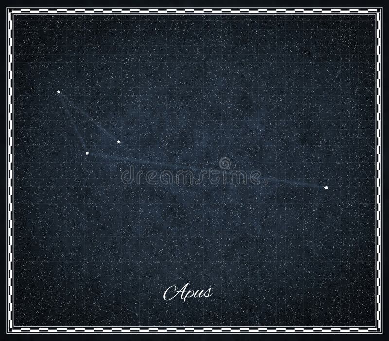 Apus Star Constellation, Night Sky, Cluster of Stars, Deep Space, Bird ...