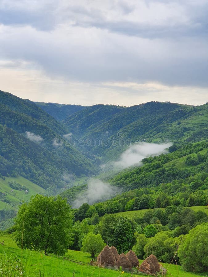 Apuseni mountains, Marisel stock image. Image of tree - 189584913