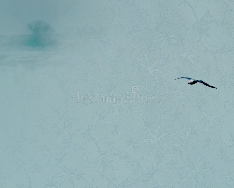 Aqua Seagull Textured Background Stock Photo - Image of tree, glide ...