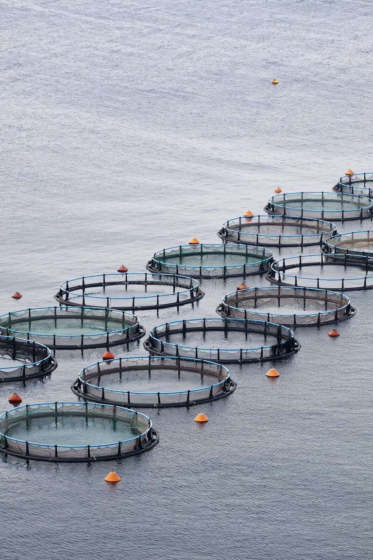 578 Aquaculture Building Stock Photos - Free & Royalty-Free Stock ...