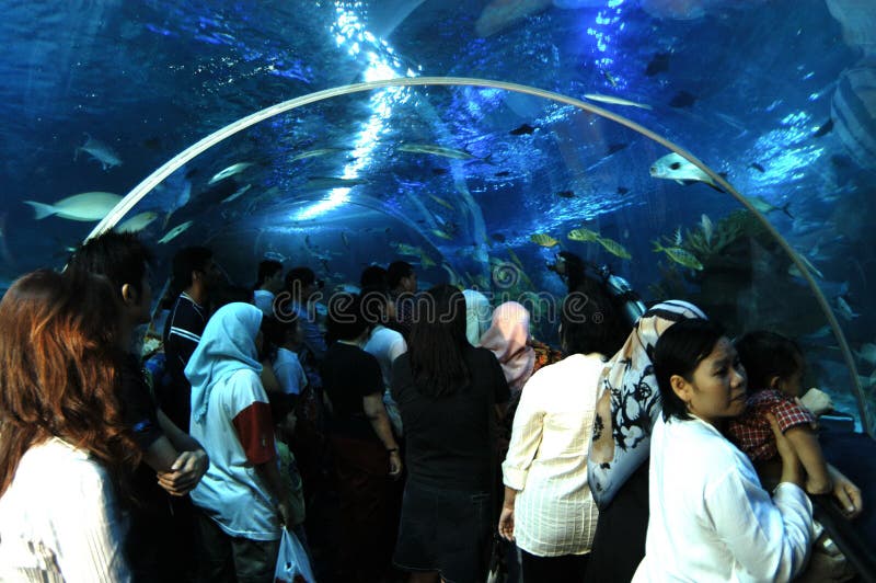 Aquaria KLCC editorial image. Image of lumpur, kuala - 25344440