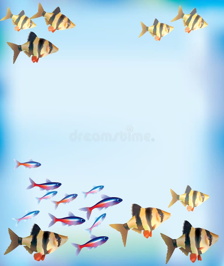 Aquarium Border Stock Illustrations – 4,961 Aquarium Border Stock ...