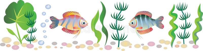 Tropical Fish Border