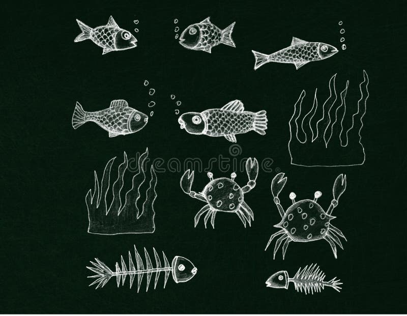 Aquarium Fish on Blackboard Stock Illustration - Illustration of bones ...