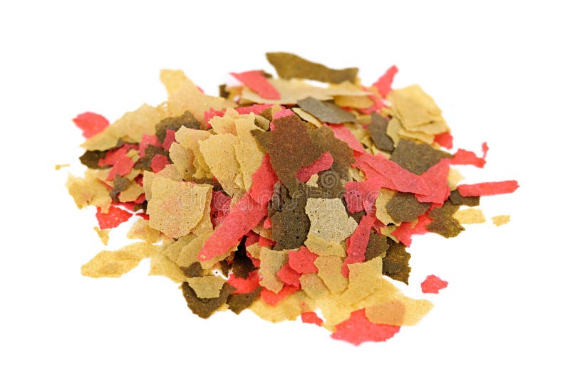 Aquarium fish food stock image. Image of macro, isolated - 21747877