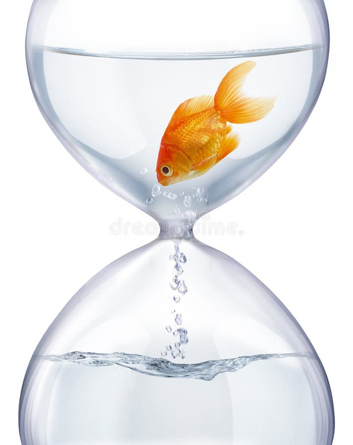 Aquarium hourglass. stock photo. Image of fish, animal - 58535922