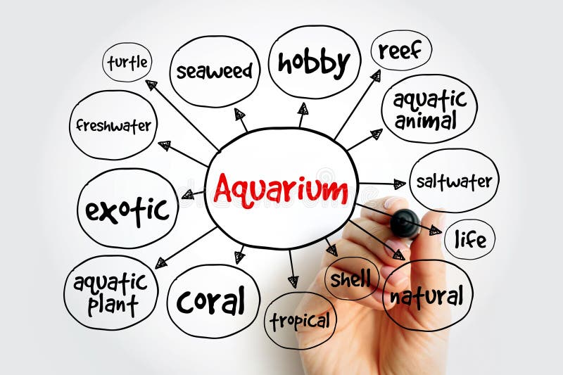 Aquarium Mind Map, Concept for Presentations and Reports Stock Photo ...