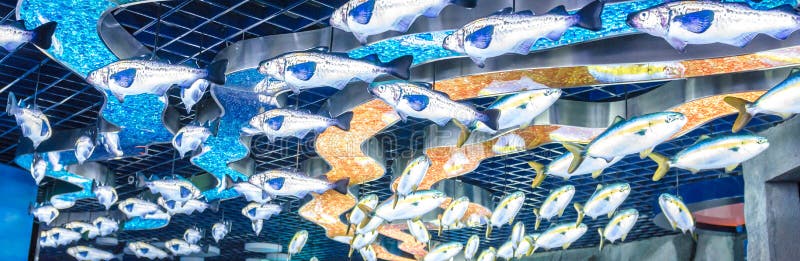 Aquarium on Russian Island, Many Beautiful Artificial Fish Decorate the ...