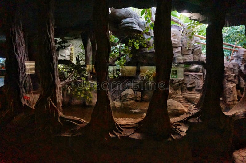 Aquariums with Tropical Animals and Fish at the Kiev Zoo. Editorial ...