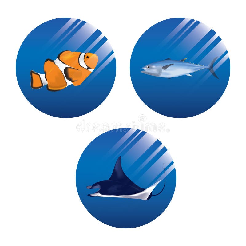 Aquatic Animals Collection. Vector Illustration Decorative Design Stock ...