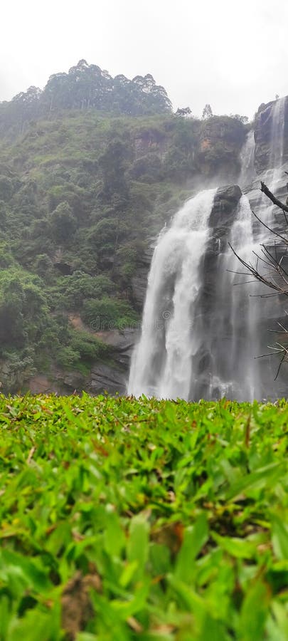 stock photo. Image of great, pictured, collapse, national - 252922548