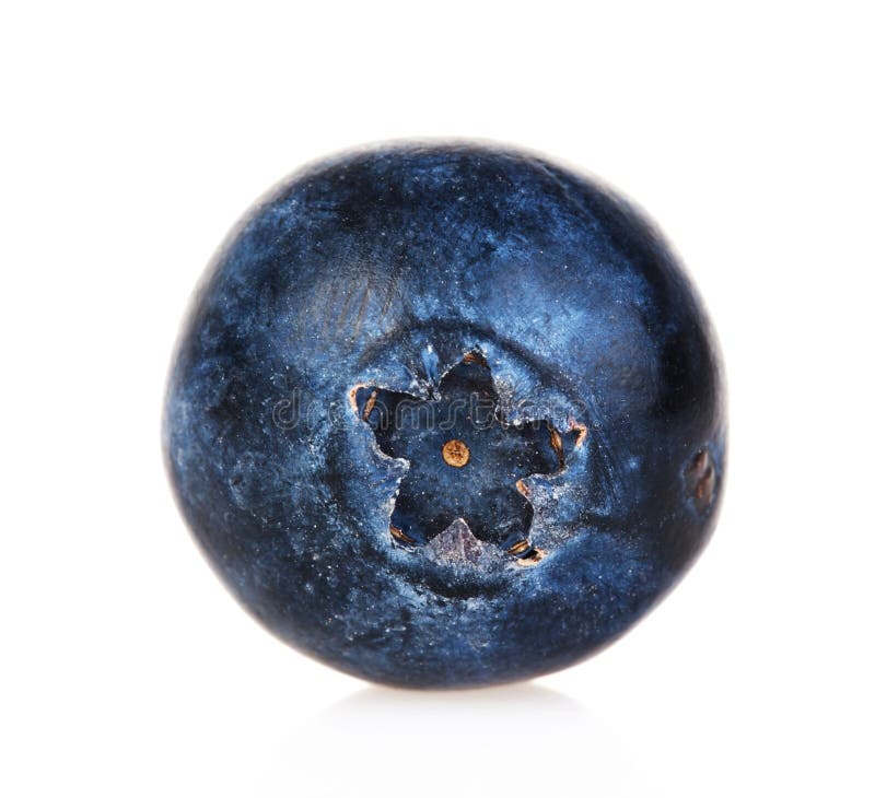 Arándano foto de archivo. Imagen de baya, macro, dieta - 21494752