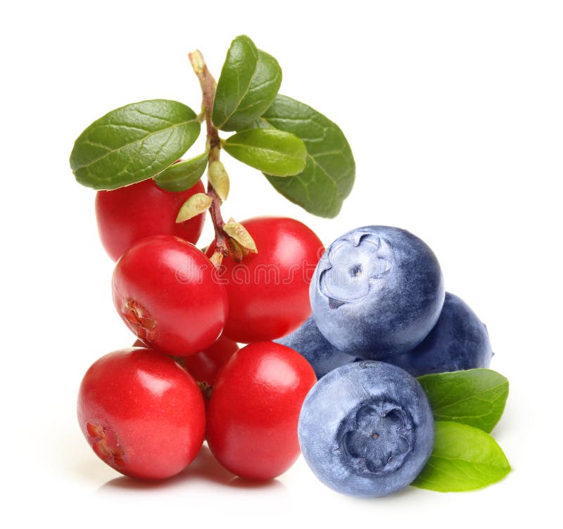 Arándano De La Baya Del Bosque Con Las Hojas Imagen de archivo - Imagen ...