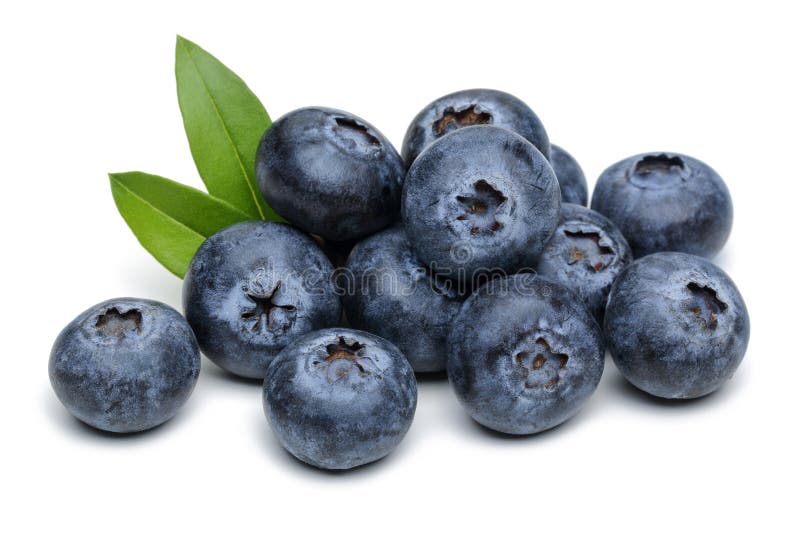 BLUEBERRIS foto de archivo. Imagen de alimento, paisaje - 158410770