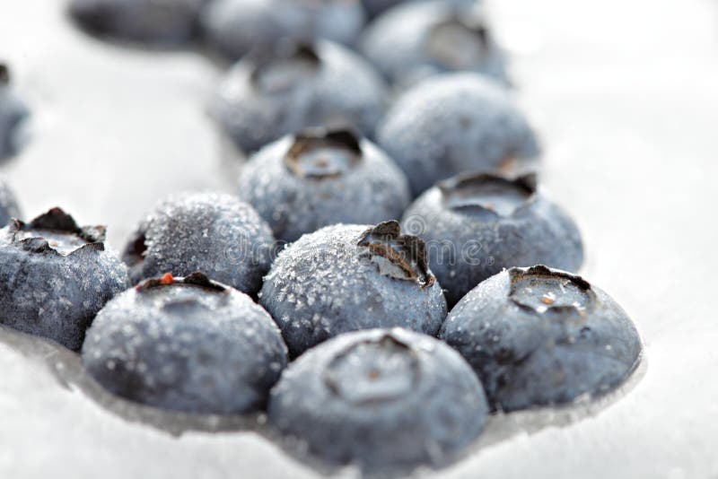 Arándanos Congelados En La Bolsa De Plástico Imagen de archivo - Imagen ...