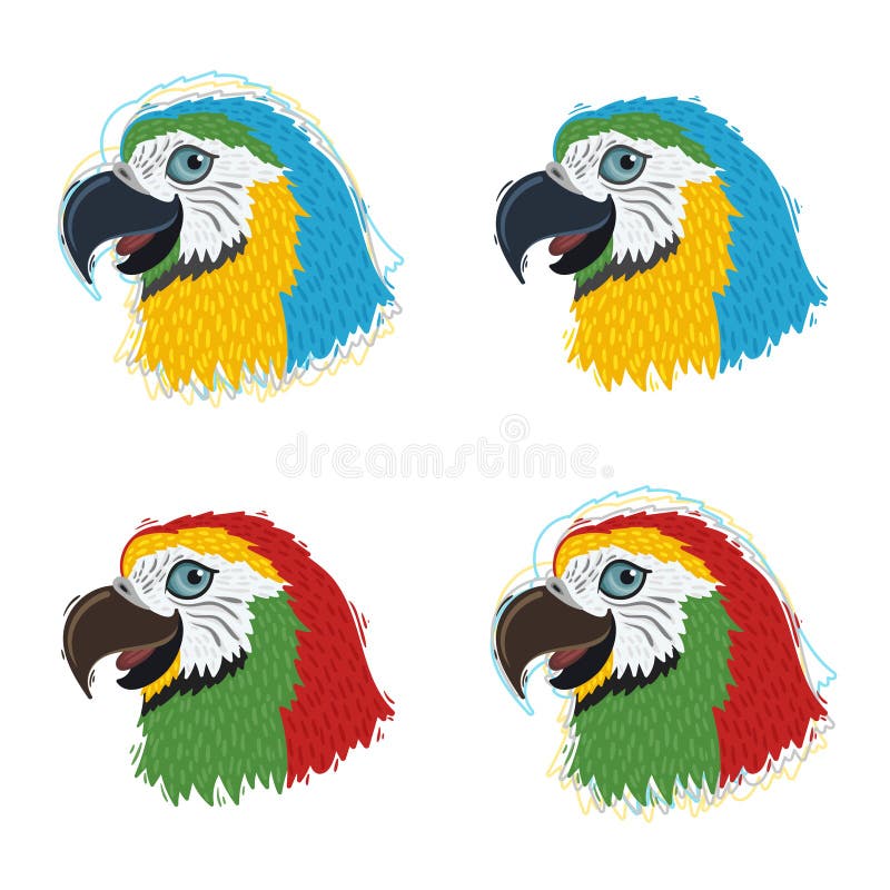 Ara Parrot Birds Set - Vector Icons, Isolated Stock Vector ...