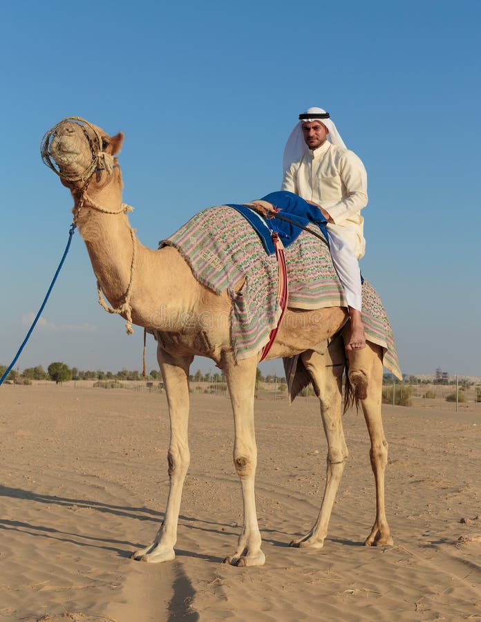 Arab with a Camel in the Desert Editorial Stock Image - Image of ...