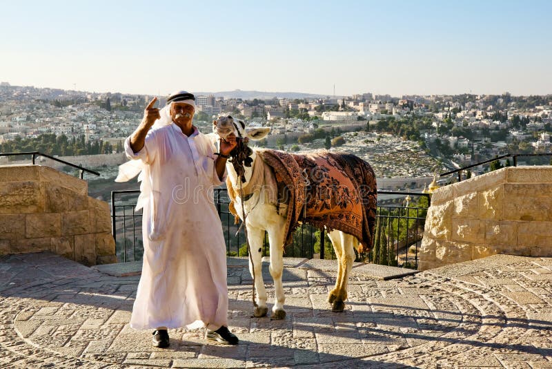 Arab Donkey on the Observation Deck of the Mount of Olives Editorial ...