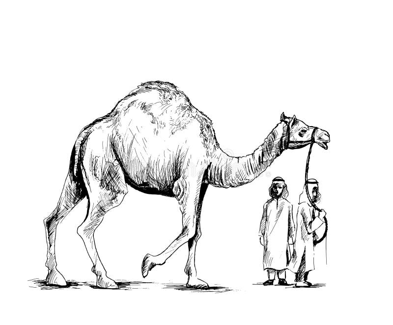Arab Man Standing with a Camel, Hand Drawn Sketch Vector Illustration ...