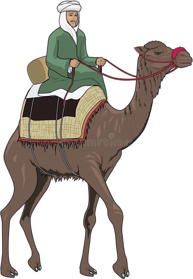 Arab Riding Camel Vector Illustration Stock Vector - Illustration of ...